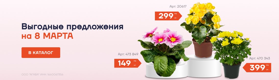 МЕГАСТРОЙ в Набережных Челнах - сеть гипермаркетов строительно ...